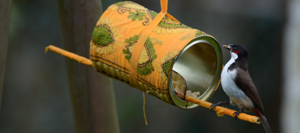 Build a Backyard Ecosystem - Orange County Library System